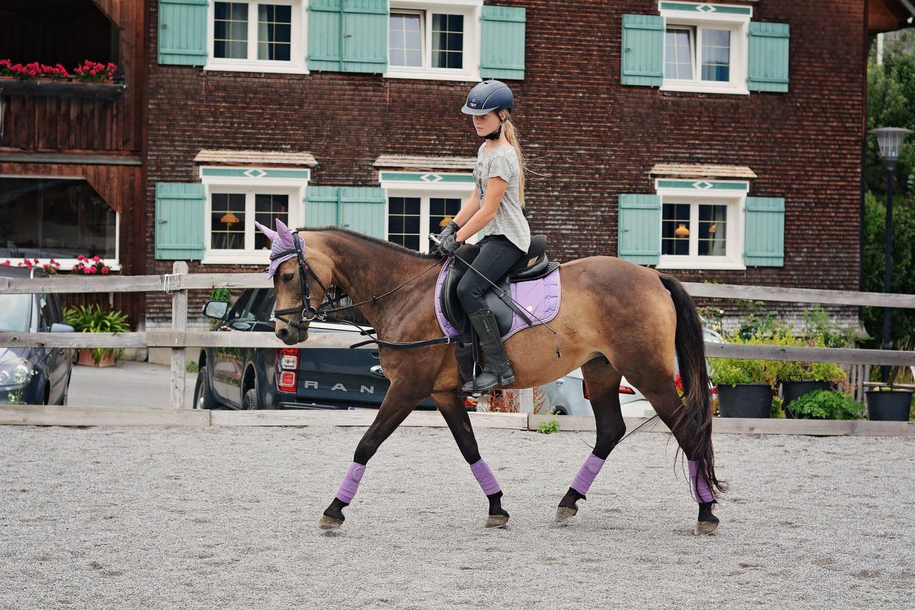 Die richtige Reitschule finden - Reiten lernen mit Profis - reiten ...